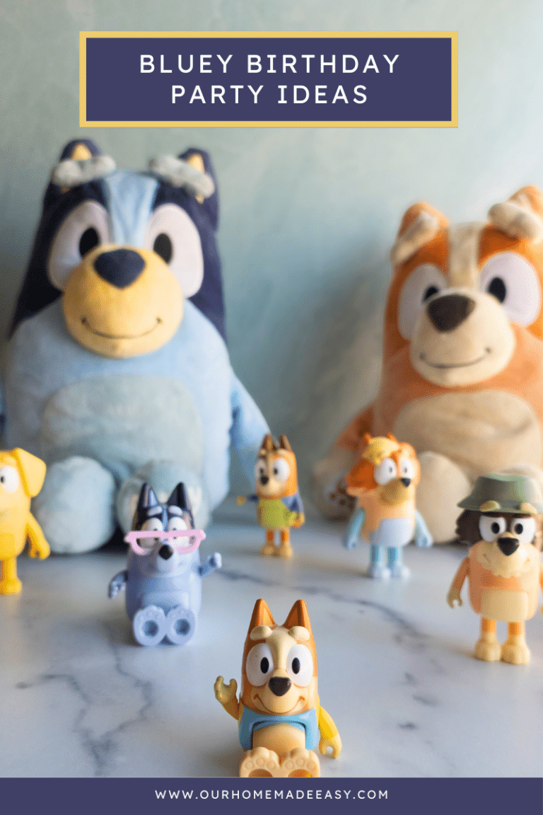The Ultimate List of Bluey Birthday Party Ideas – Our Home Made Easy